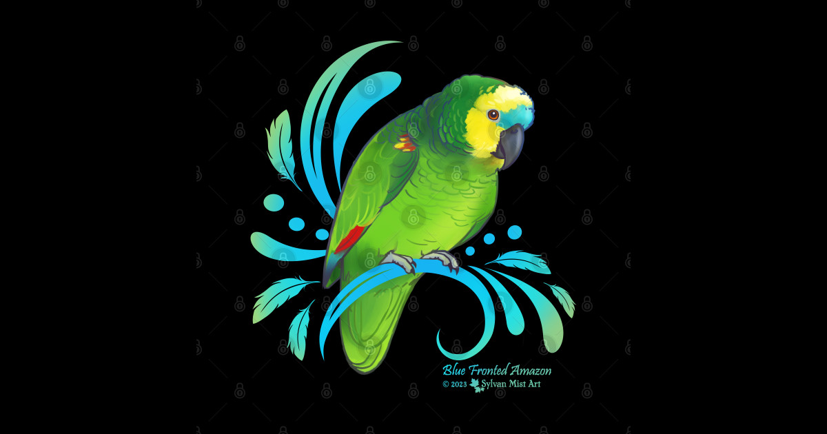 Blue Fronted Amazon Parrot - Amazon Parrots - Posters and Art Prints ...