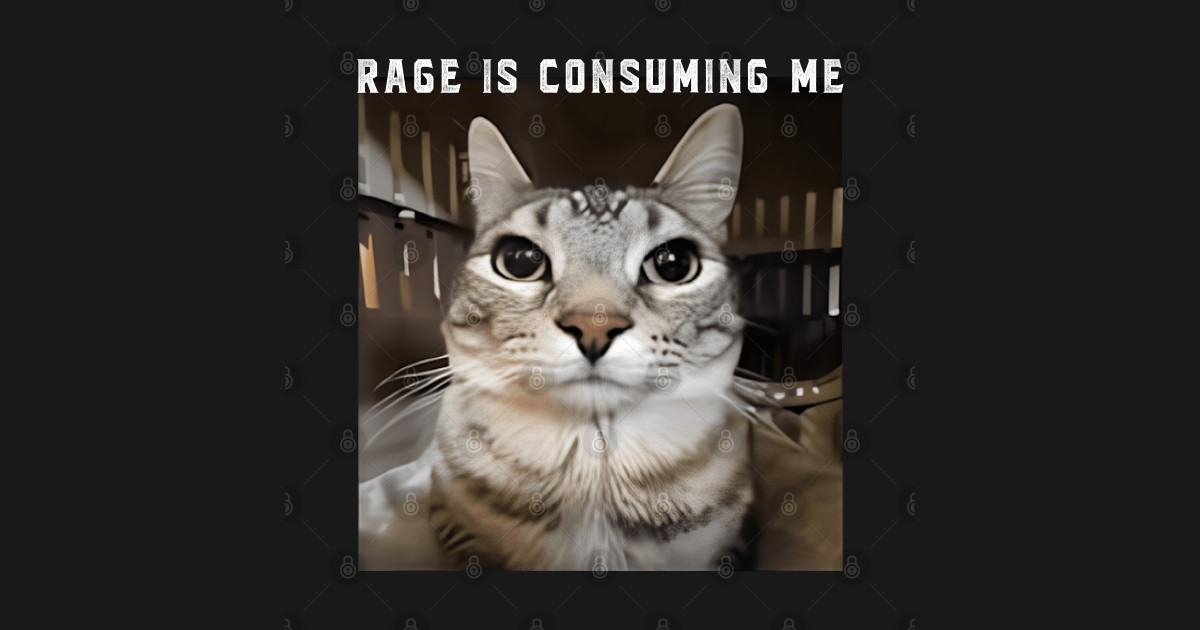 Rage Is Consuming Me Silly Staring Cat Meme - Rage Is Consuming Me ...