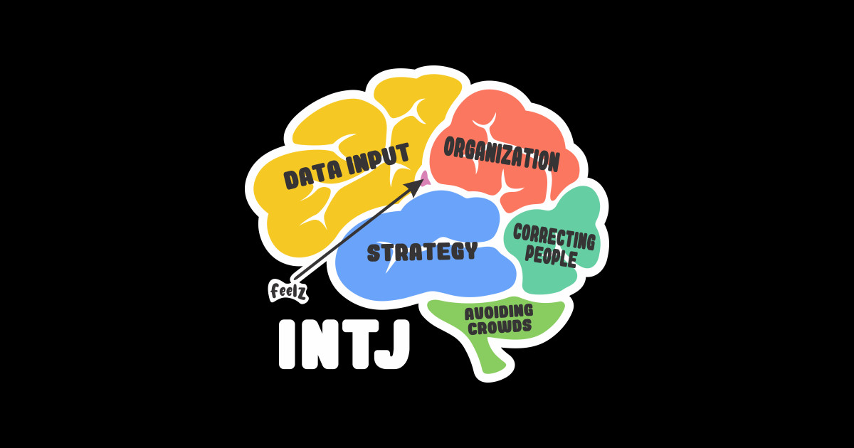 INTJ personality type brain sectors funny introvert anti-social - Intj ...