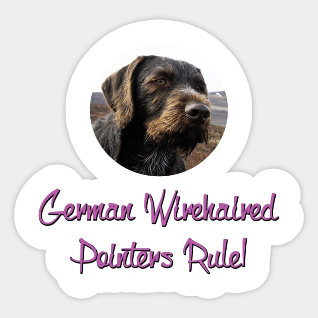 German Wirehaired Pointers Rule! - German Wirehaired Pointer - Sticker ...