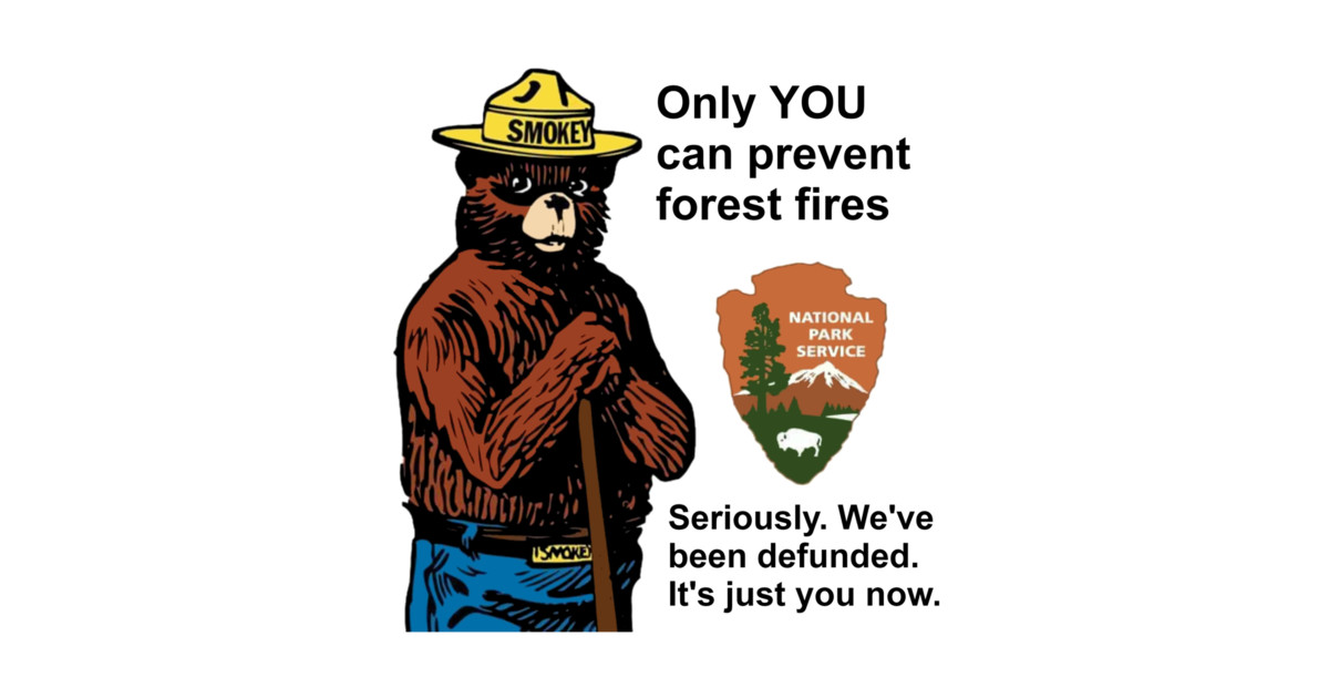 Only You Can Prevent Forest Fires Defunded Smokey Bear - Only You Can ...
