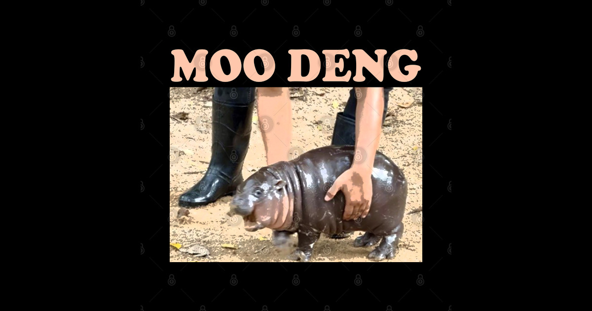 Baby Hippo Moo Deng - Moo Deng - Sticker | TeePublic