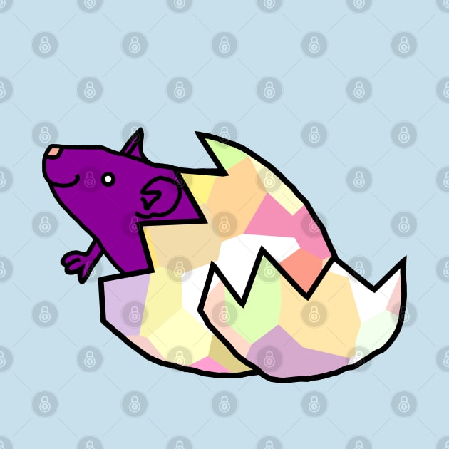 Cute Rat Hatching from Easter Egg - Funny Easter - T-Shirt | TeePublic