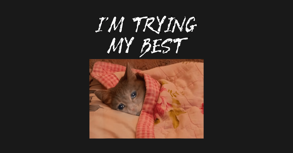 I'm Trying My Best Crying Cat - Meme Cat Crying - T-Shirt | TeePublic