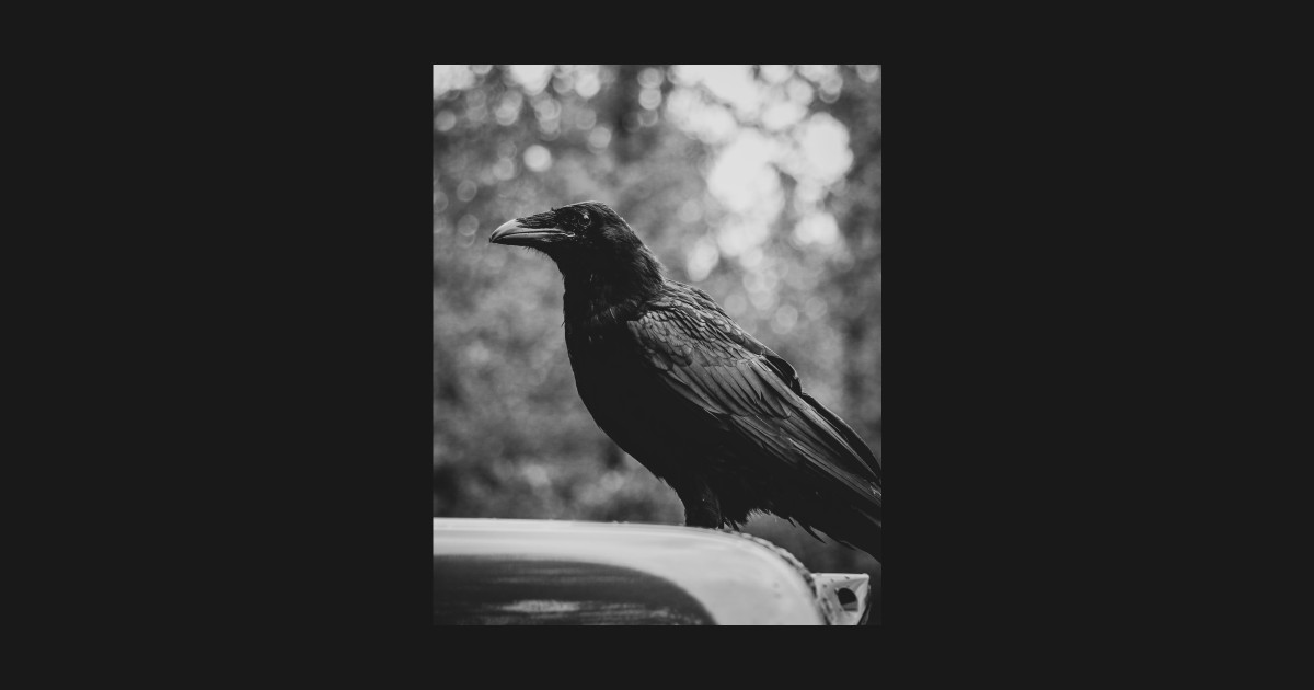 The Raven - Raven - T-Shirt | TeePublic