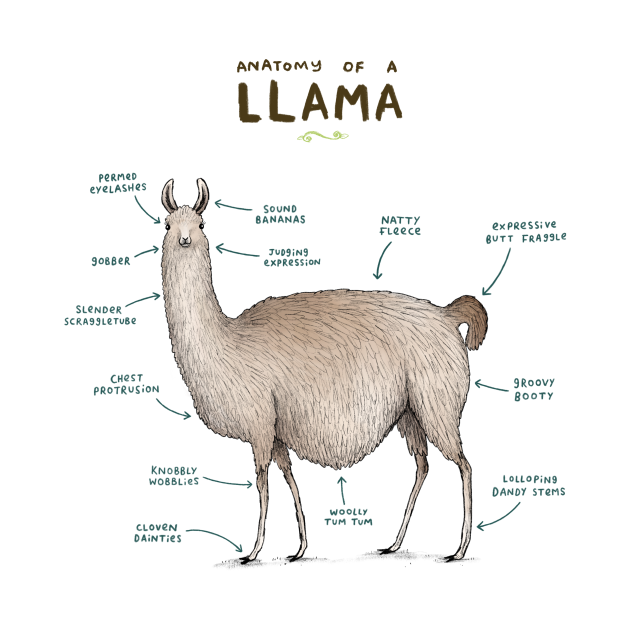 Anatomy of a Llama - Llama - Long Sleeve T-Shirt | TeePublic