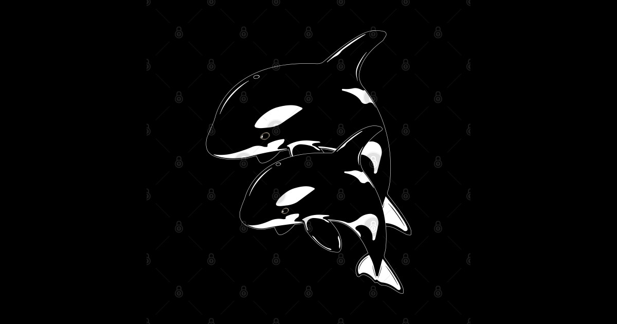 Orca Killer Whale Couple - Orca - Posters and Art Prints | TeePublic