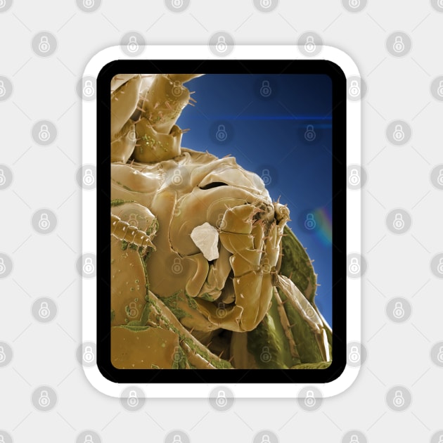 Scary Alien Sci-fi Creature Monster Scifi - Alien - Magnet | TeePublic