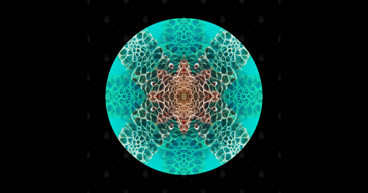 Mandala - Sea Turtle - Turtle - Sticker | TeePublic