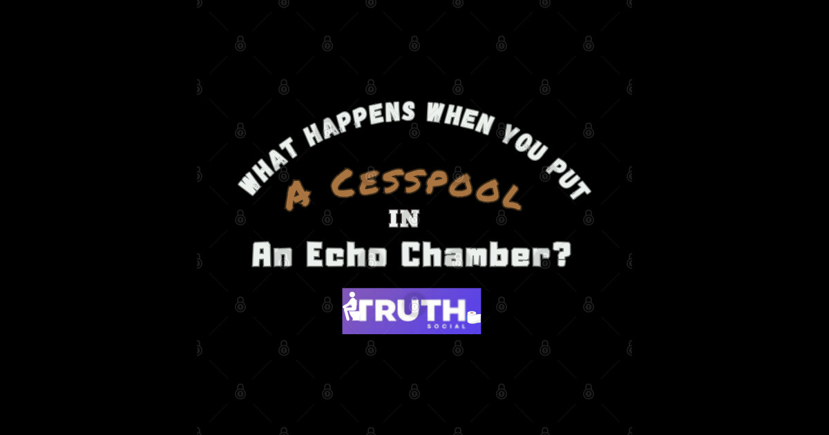 POLITICAL FUNNY MEME T-SHIRT TRUTH CESSPOOL ECHO SOCIAL MEDIA - Lies ...