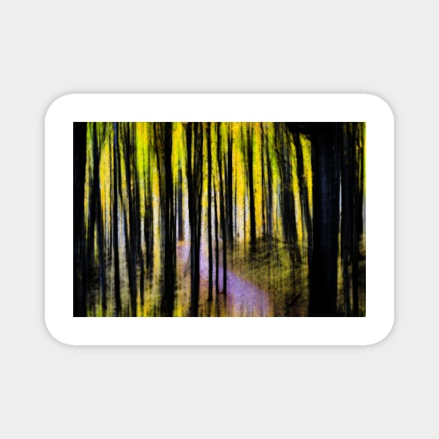Trees of Pictured Rocks - Trees - Magnet | TeePublic