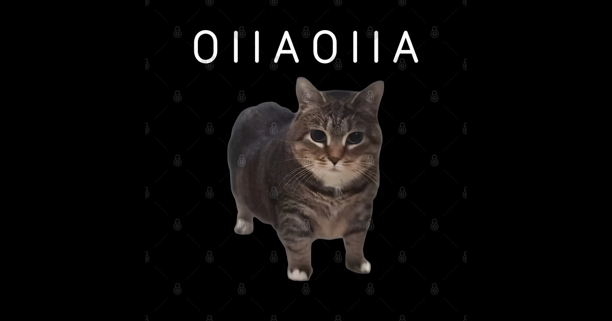 Oiiai Spinning Cat Funny Meme, Oiiai cat Meme, Uiia Uiia Cat Lover ...