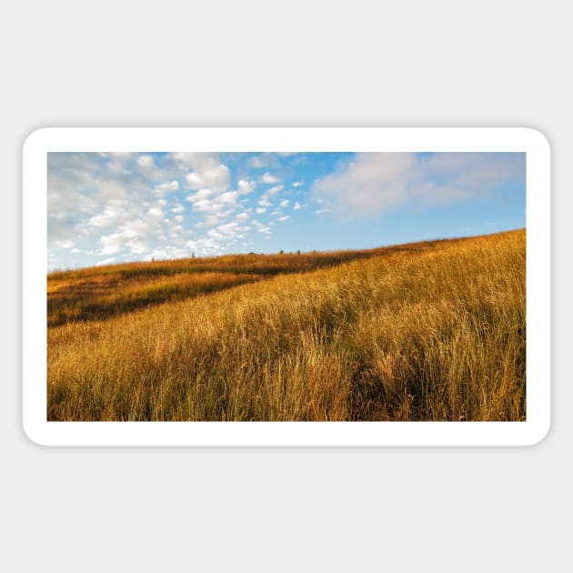 Rural Hillside - Field - Sticker | TeePublic
