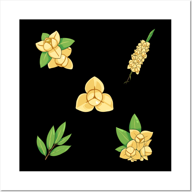 Cambodia National Flower Rumdul | Best Flower Site