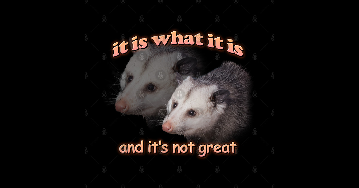 it is what it is... and it's not great possum meme - Possum - Sticker ...