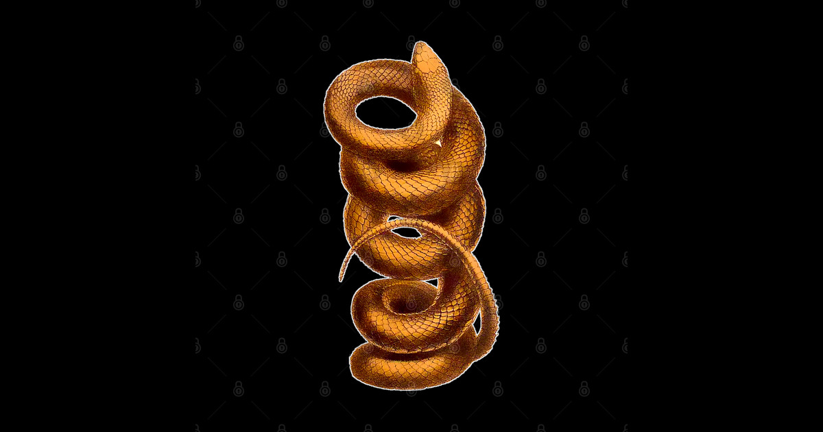 Coiled snake - Serpent - Sticker | TeePublic