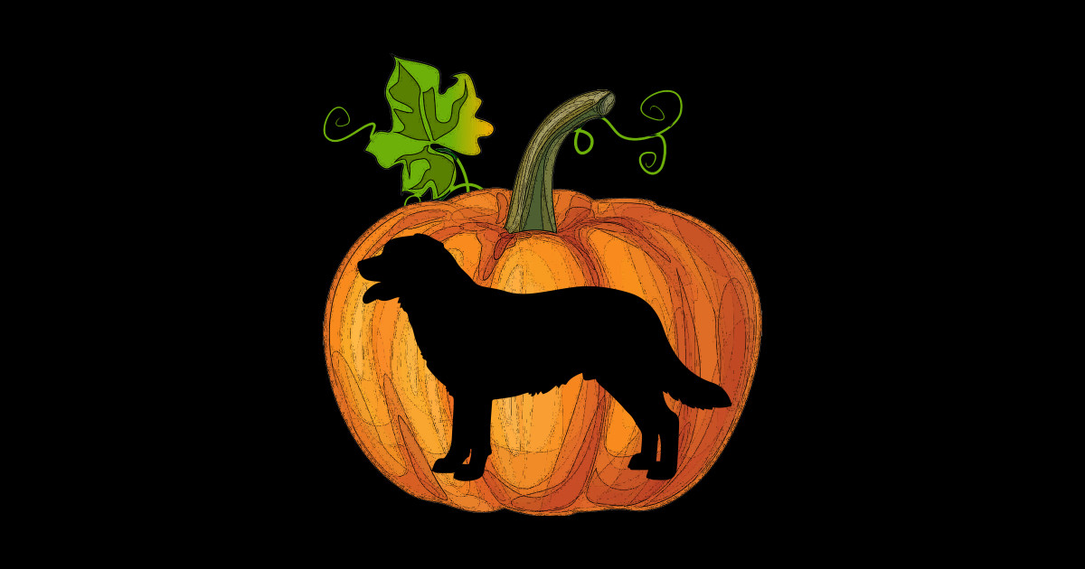 Labrador in pumpkin - Labrador In Pumpkin - Sticker | TeePublic