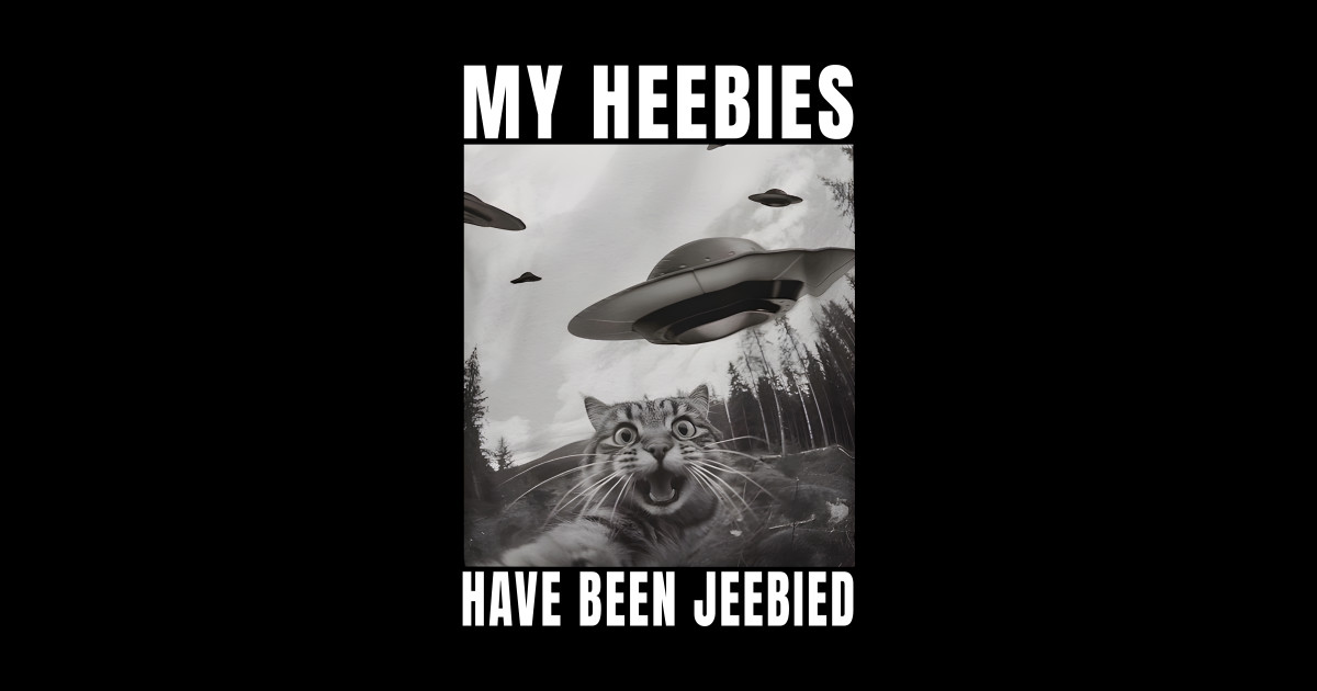 My Heebies Have Been Jeebied Funny Cat Meme - My Heebies Have Been ...