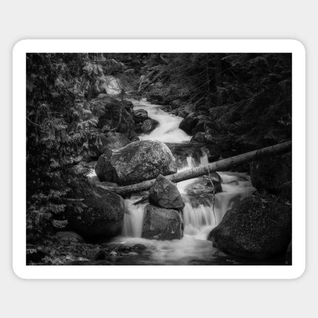 Forest Stream - B W - Sticker | TeePublic