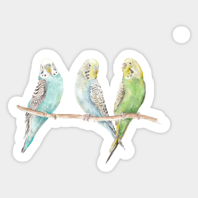 Parakeets - Parakeet - Sticker | TeePublic