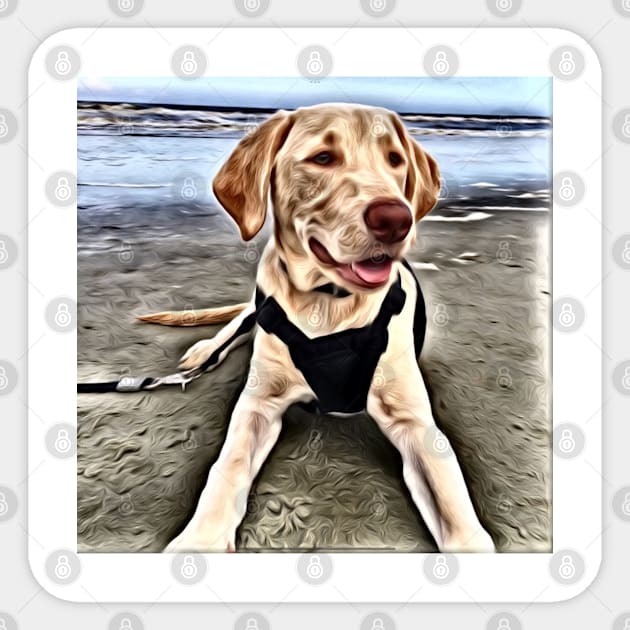 Saban at the beach - Service Dog - Sticker | TeePublic