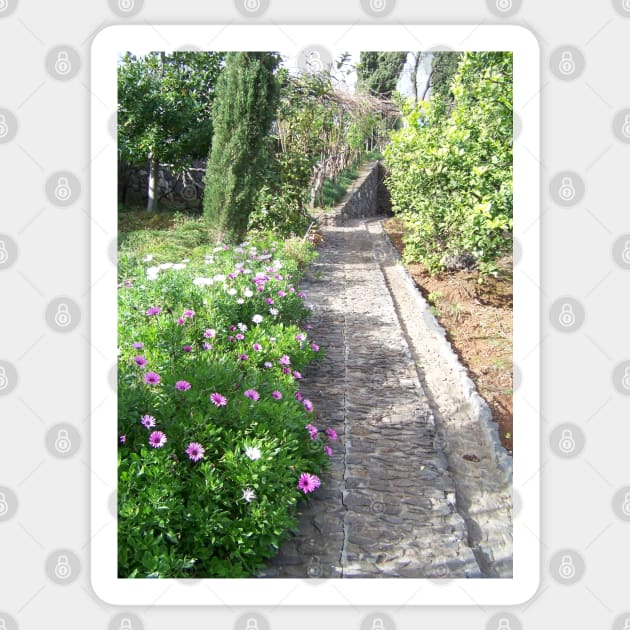 Madeira Pathway - Madeira - Sticker | TeePublic