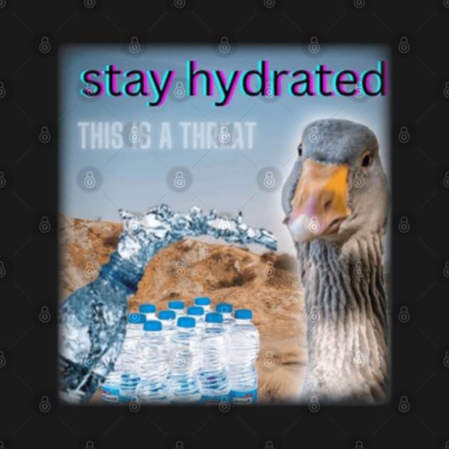 Stay Hydrated This A Threat Funny Duck - Stay Hydrated This A Threat ...