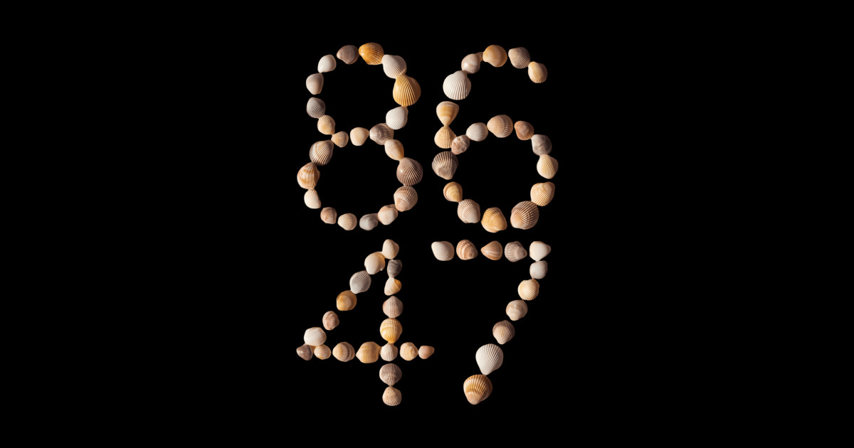 86 47 8647 86 47 Seashells Sea Shells Summer Beach - 86 47 8647 86 47 ...