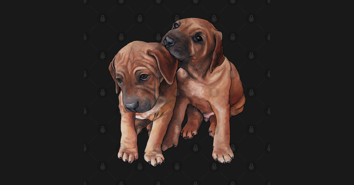 Rhodesian Ridgeback Brothers - Rhodesian Ridgeback - T-Shirt | TeePublic
