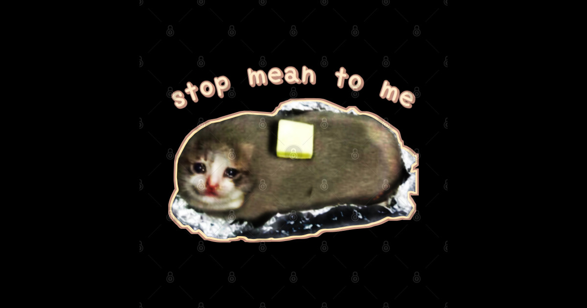 stop mean to me #3 starring crying cat baked potato - wholesome cat ...
