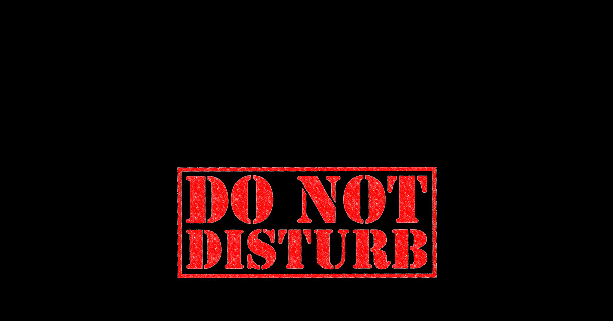 If Found Sleeping Do Not Disturb Lazy Attitude Shirt If Found