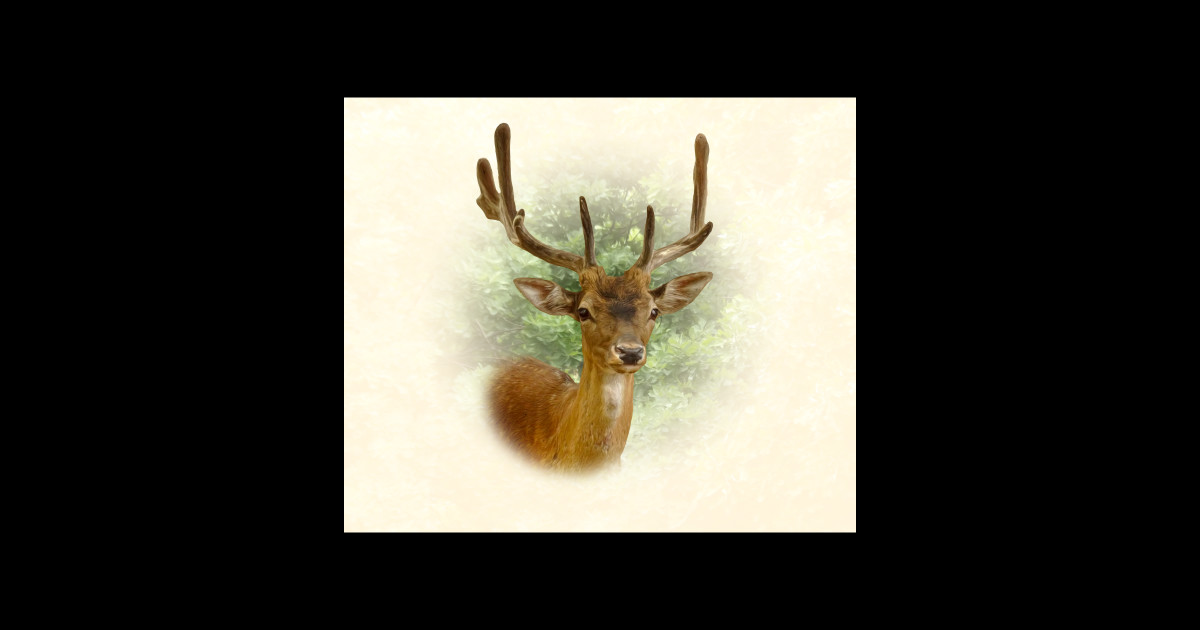 Fallow Deer - Fallow Deer - Sticker | TeePublic