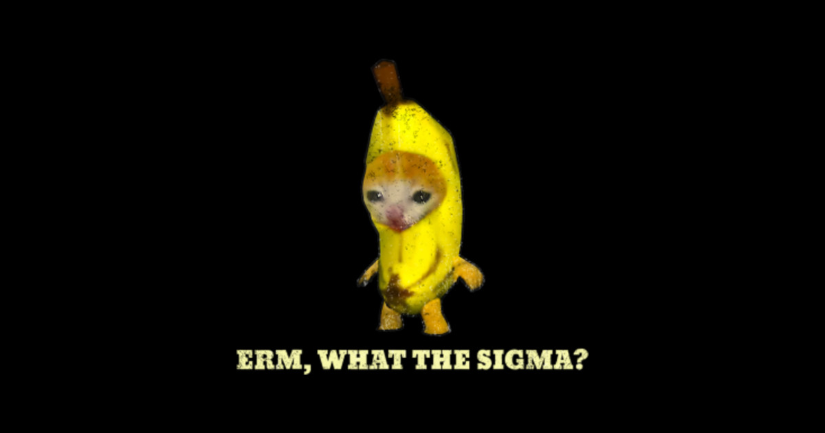Happy Happy Happy Cat meme - Erm What Sigma Cat Meme - Posters and Art ...