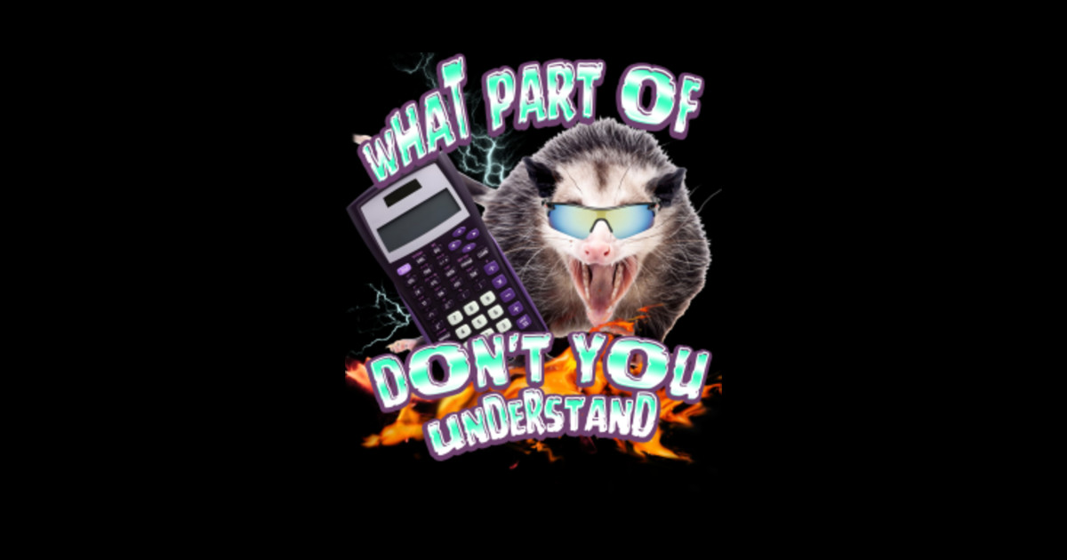 What Part Of Don't You Understand Funny Possum Math Teacher - What Part ...