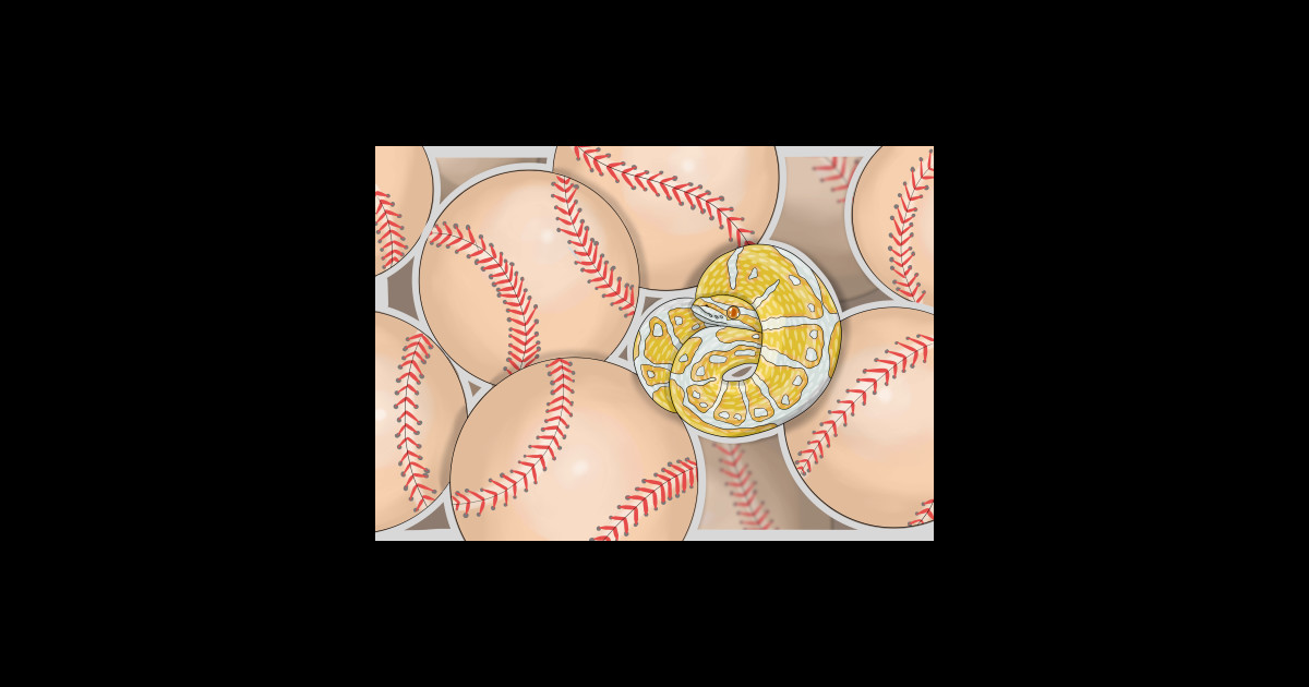 Albino Ball python - Albino - Sticker | TeePublic