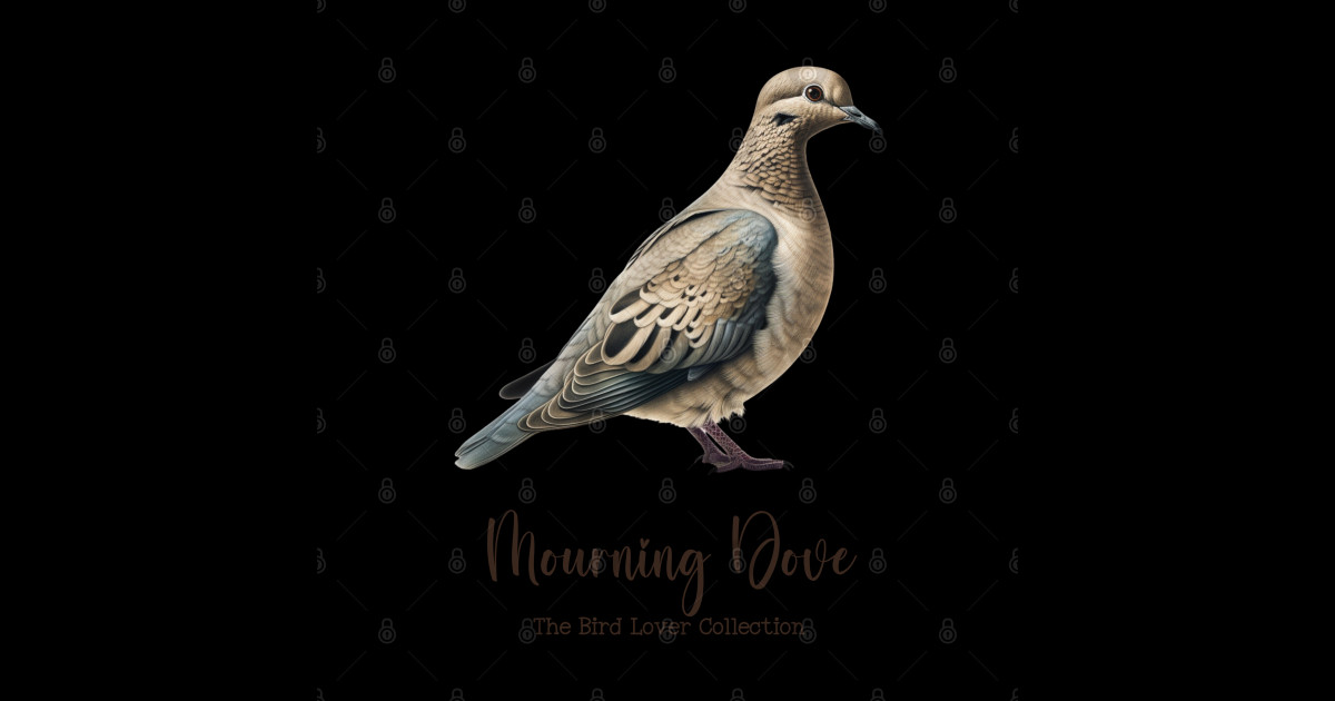 Mourning Dove - The Bird Lover Collection - Mourning Dove - Sticker ...