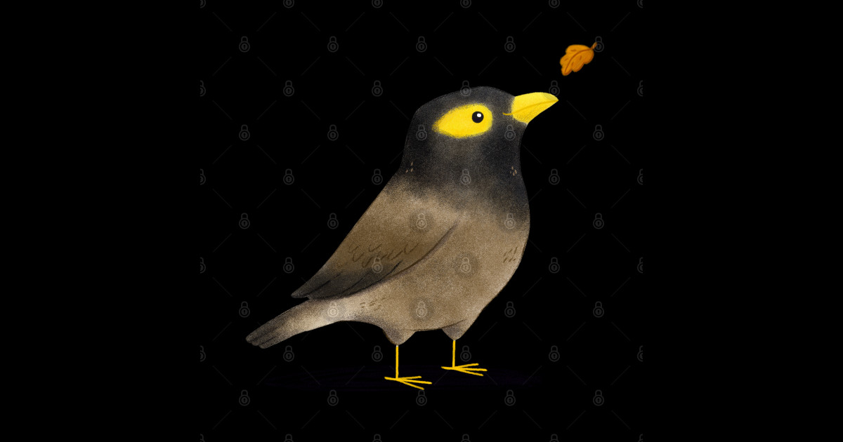 Myna Bird with a leaf - Black And Brown Bird - Sticker | TeePublic