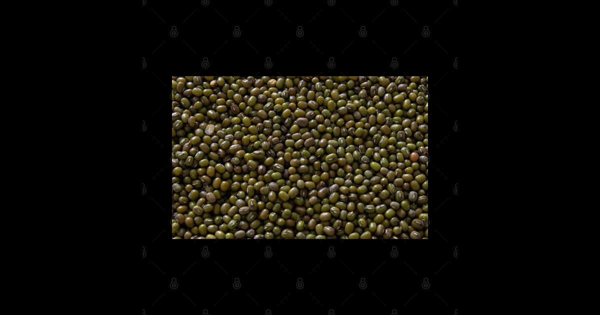 Mung beans (vigna radiata) - Mung - Sticker | TeePublic