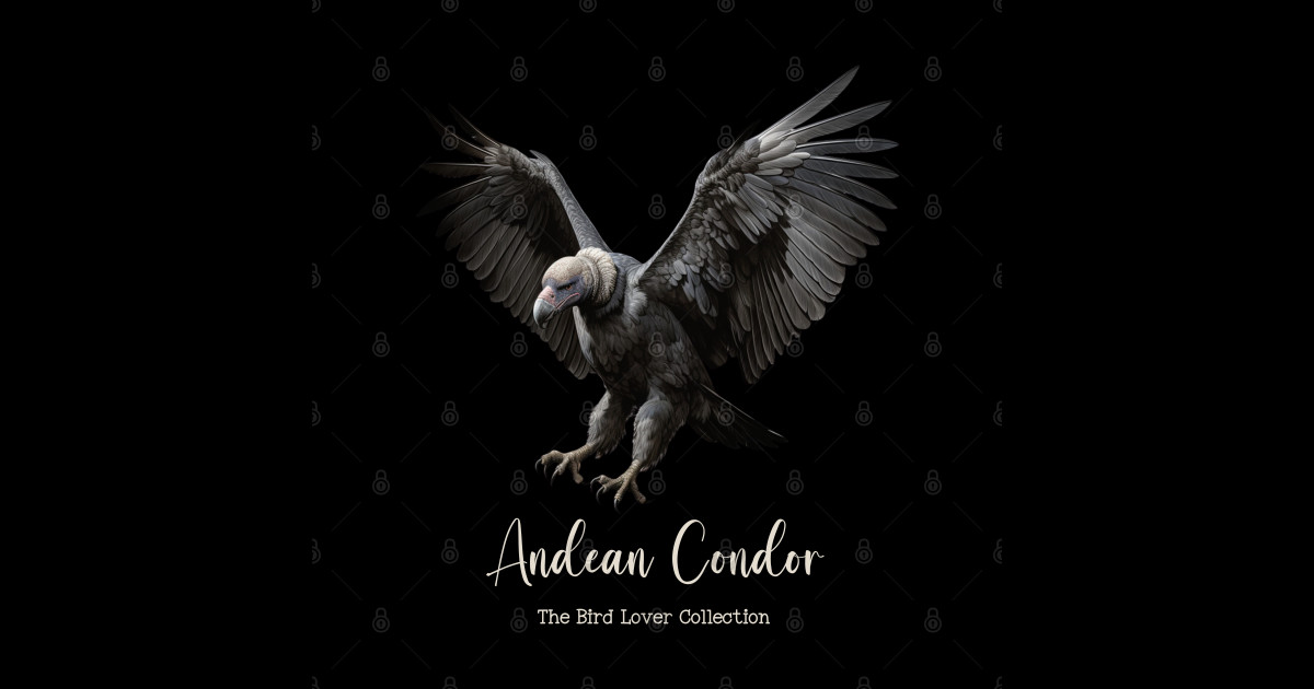 Andean Condor - The Bird Lover Collection - Andean Condor - Sticker ...