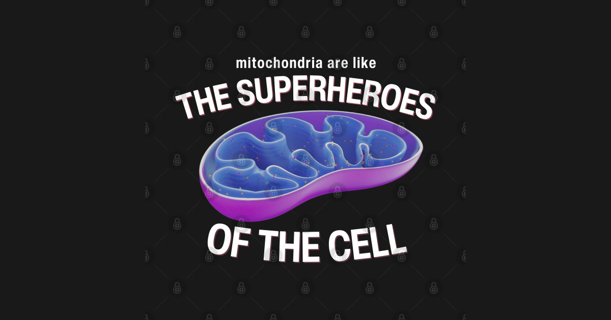 Mitochondria are like the superheroes of the cell - Mitochondria - Tank ...