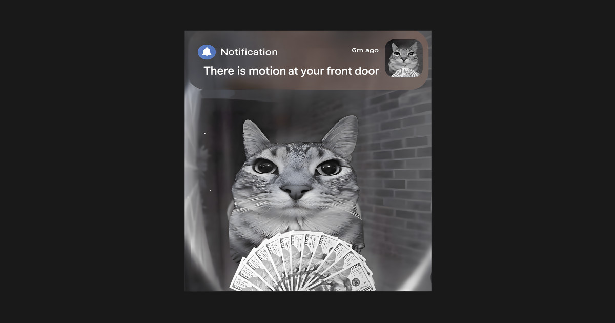 There Is Motion At Your Front Door Cat Motion - Funny Cat Meme - T ...