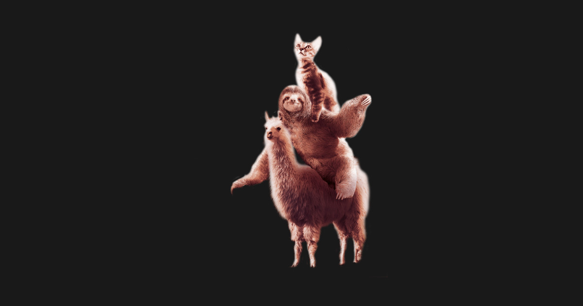 Cat Riding Sloth Riding Llama - Llama - Kids Hoodie | TeePublic