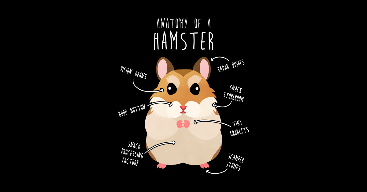 Roborovski Dwarf Hamster Anatomy - Hamster - Sticker | TeePublic