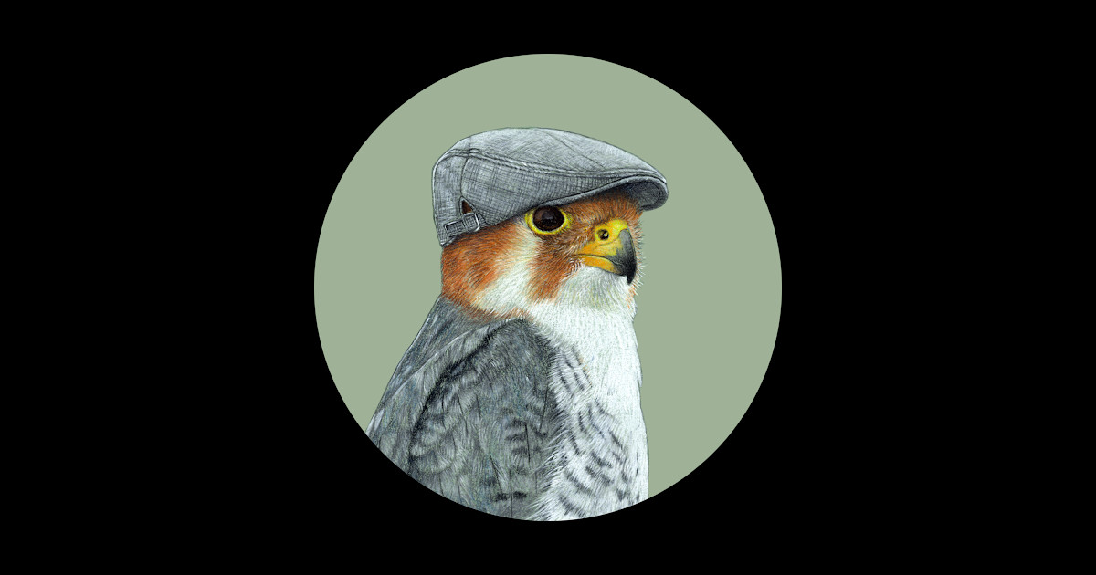 Red-necked falcon - Birds In Hats - Sticker | TeePublic