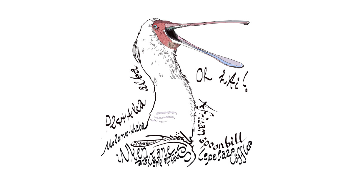 African spoonbill, Lepelaar - African Spoonbill - T-Shirt | TeePublic