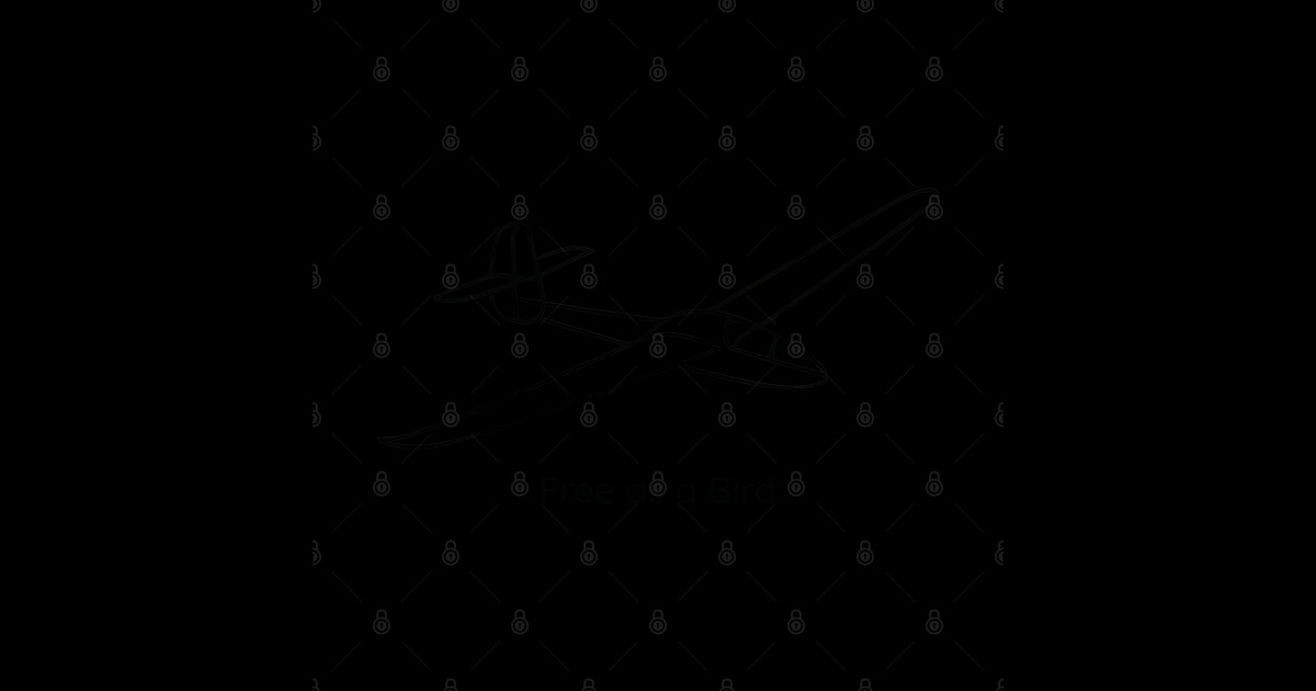 Free as a Bird Glider Pilot Sailplane Biplane aerial floating soaring ...