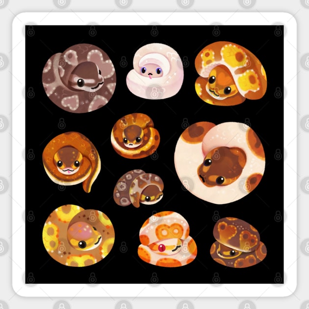 Shy ball pythons - Ball Python - Sticker | TeePublic