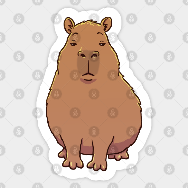 Grumpy Capybara - Capybara - Sticker | TeePublic