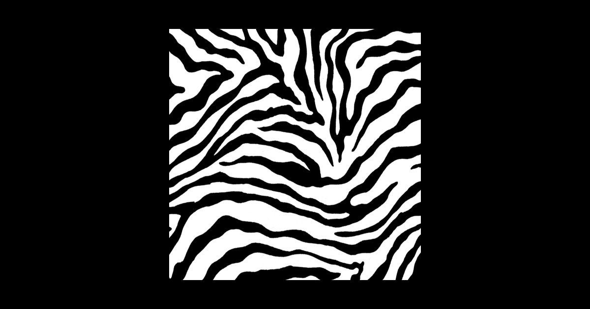 ZEBRA COLLECTION - Zebra - Sticker | TeePublic