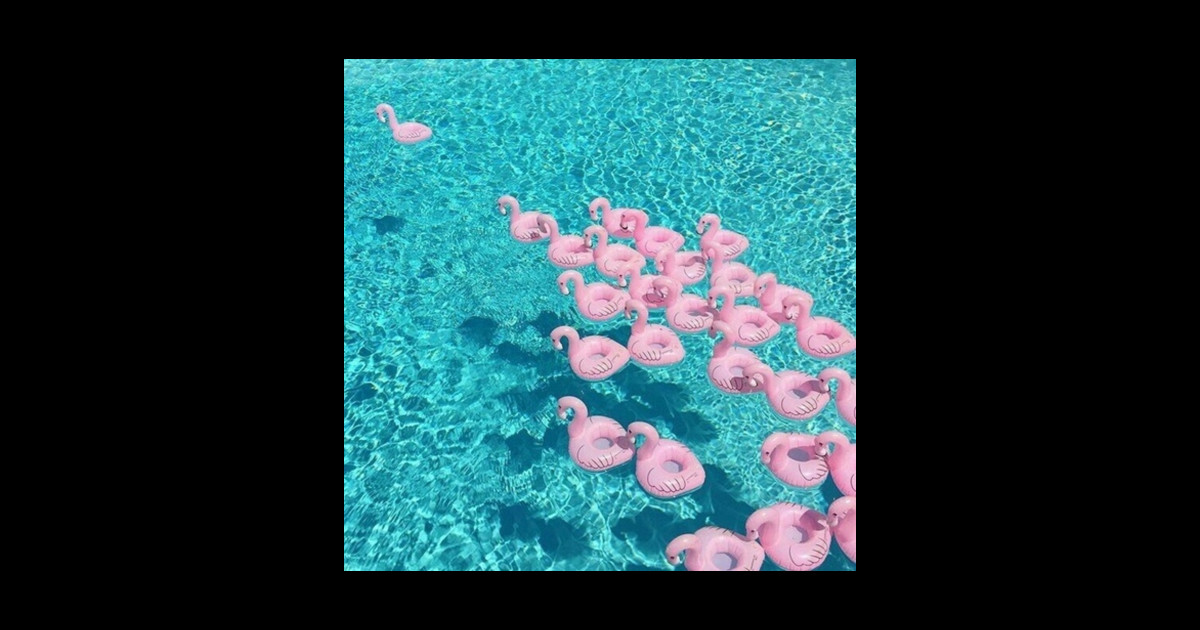 pool - Pool - Sticker | TeePublic